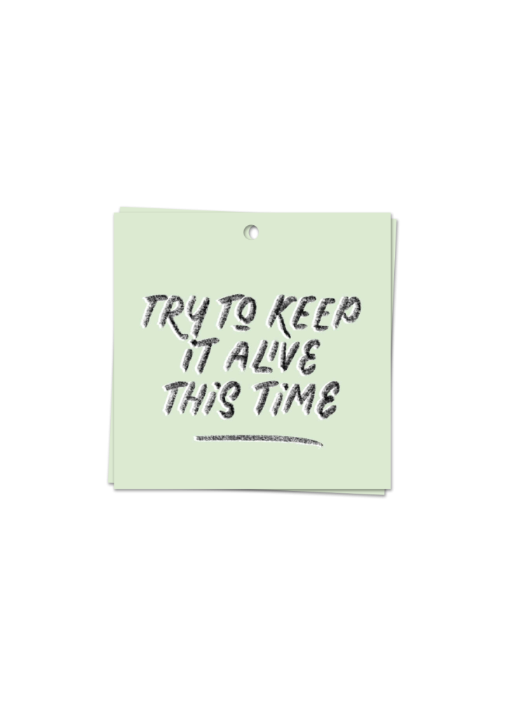 Keep it alive - Kaart Blanche