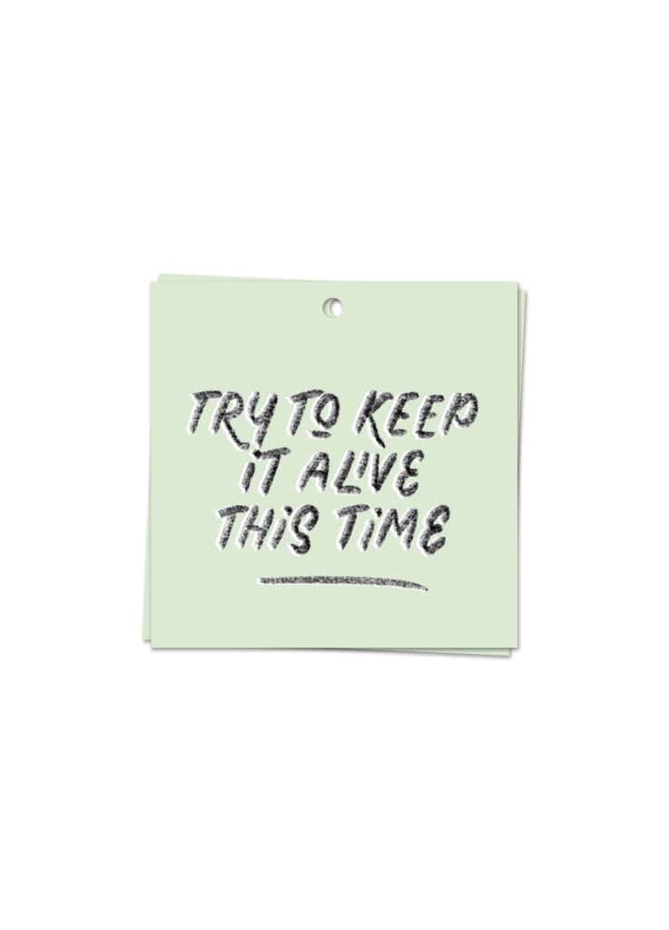 Keep it alive - Kaart Blanche